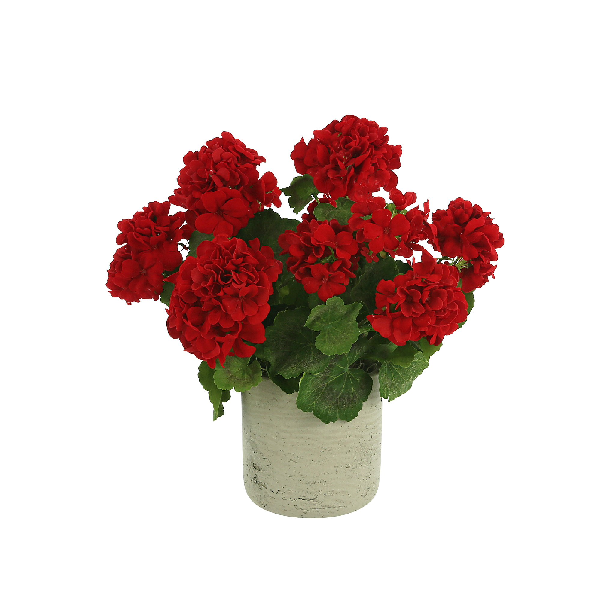 Primrue Geranium Centerpieces in Pot | Wayfair