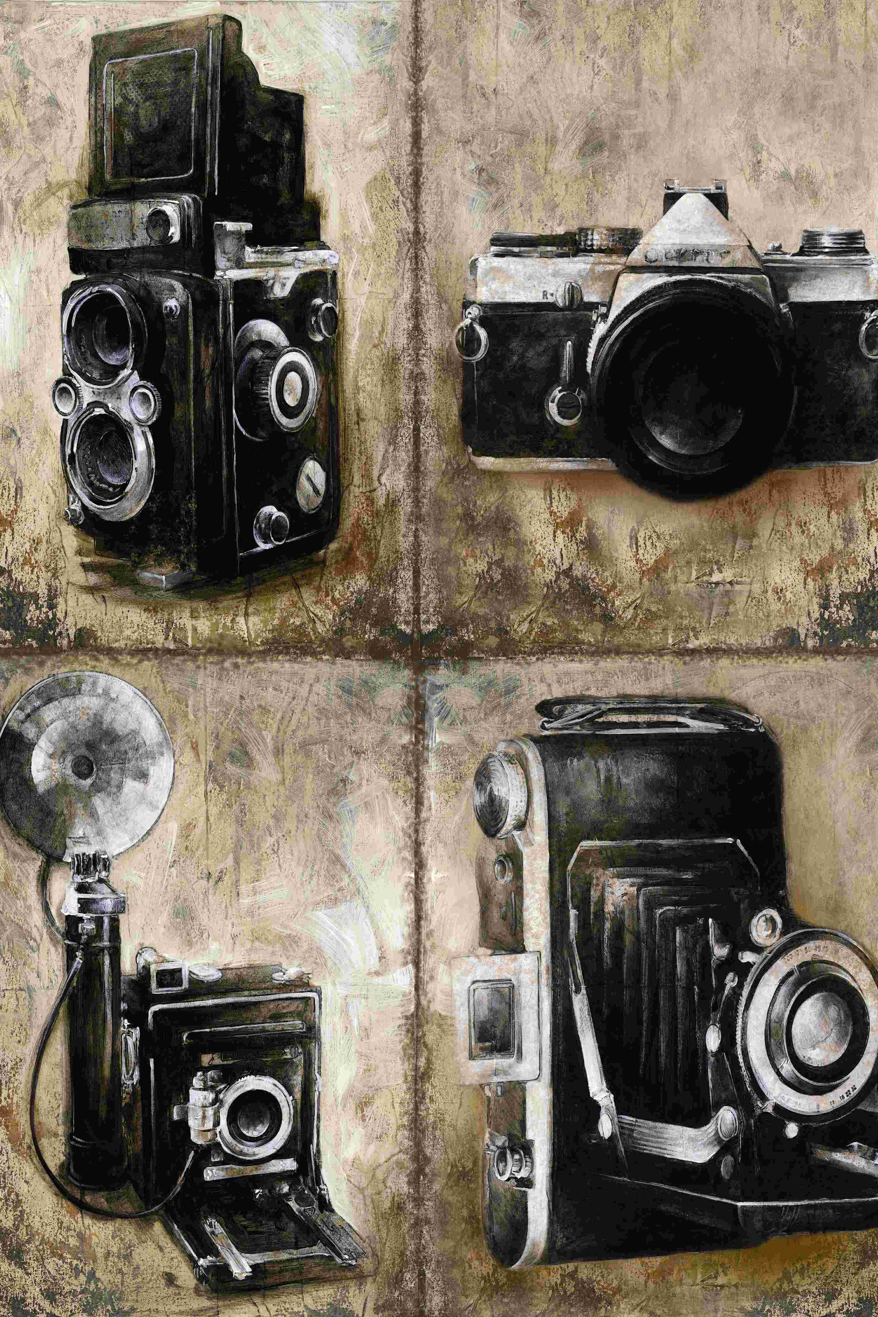 17 Stories Vintage Cameras On Canvas Graphic Art | Wayfair