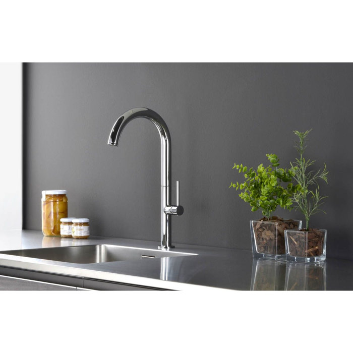 WS Bath Collections Chef Kitchen Faucet | Wayfair