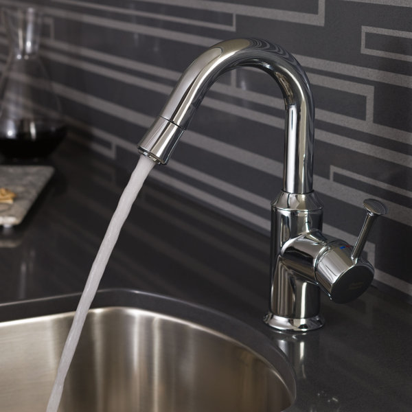 American Standard Pekoe Kitchen Faucet & Reviews | Wayfair