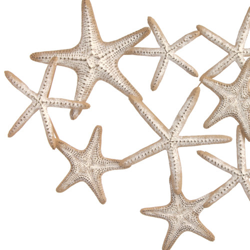 Beachcrest Home Starfish Wall Décor & Reviews | Wayfair