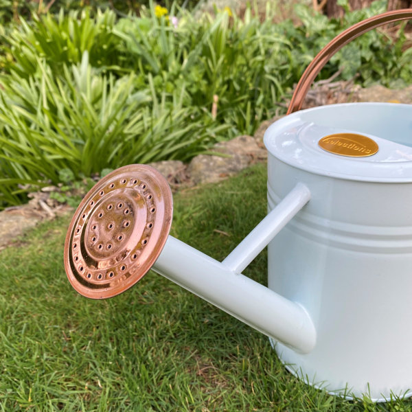 Selections 3.5 Litre Watering Can | Wayfair.co.uk