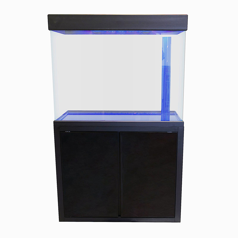 AQUA DREAM Rectangle Aquarium Tank | Wayfair