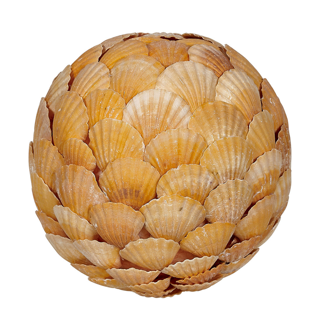 Highland Dunes Alday Shell Orb Sculpture | Wayfair