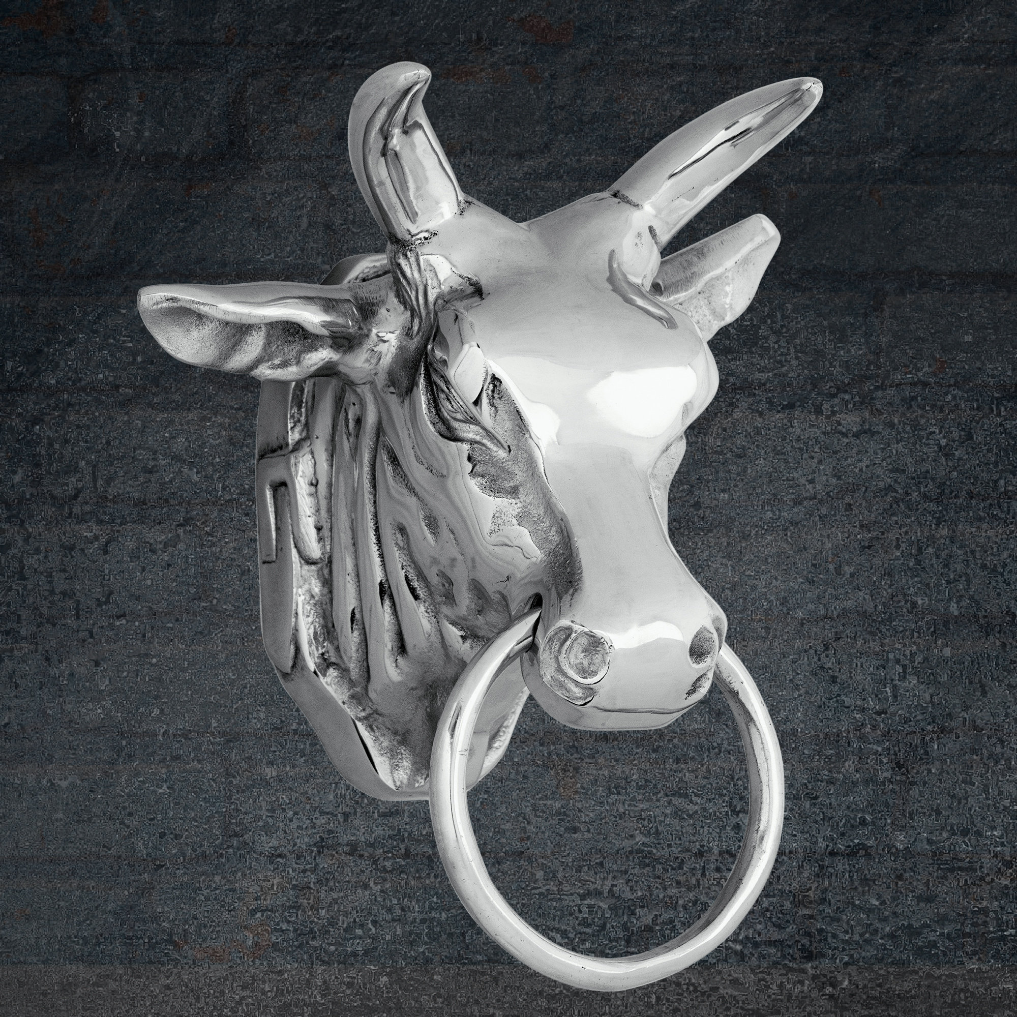 MarktSq Mounted Bull Head Wall Decor | Wayfair