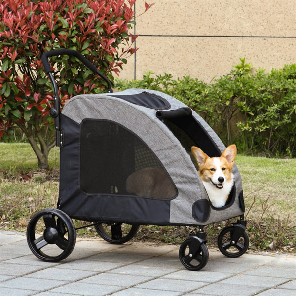 Archie & Oscar Darby Standard Stroller | Wayfair.co.uk