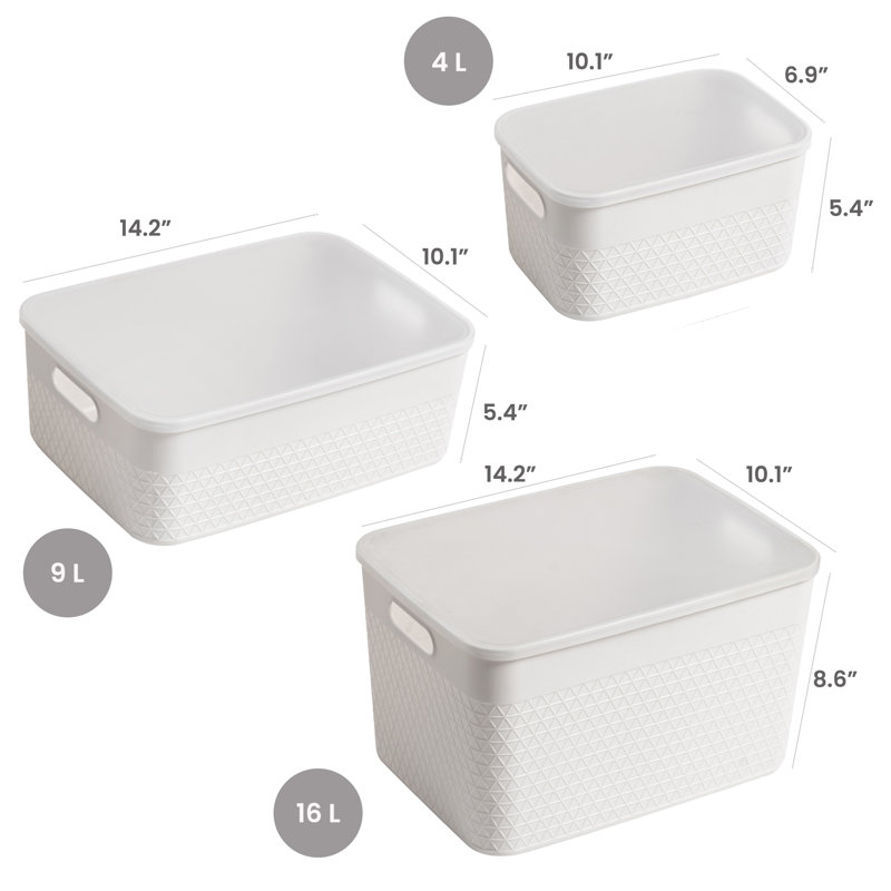 Rebrilliant Plastic Box Set & Reviews | Wayfair