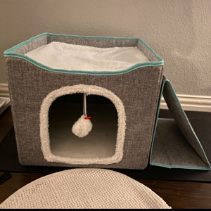 Tucker Murphy Pet™ Chabak Square Cat Bed | Wayfair