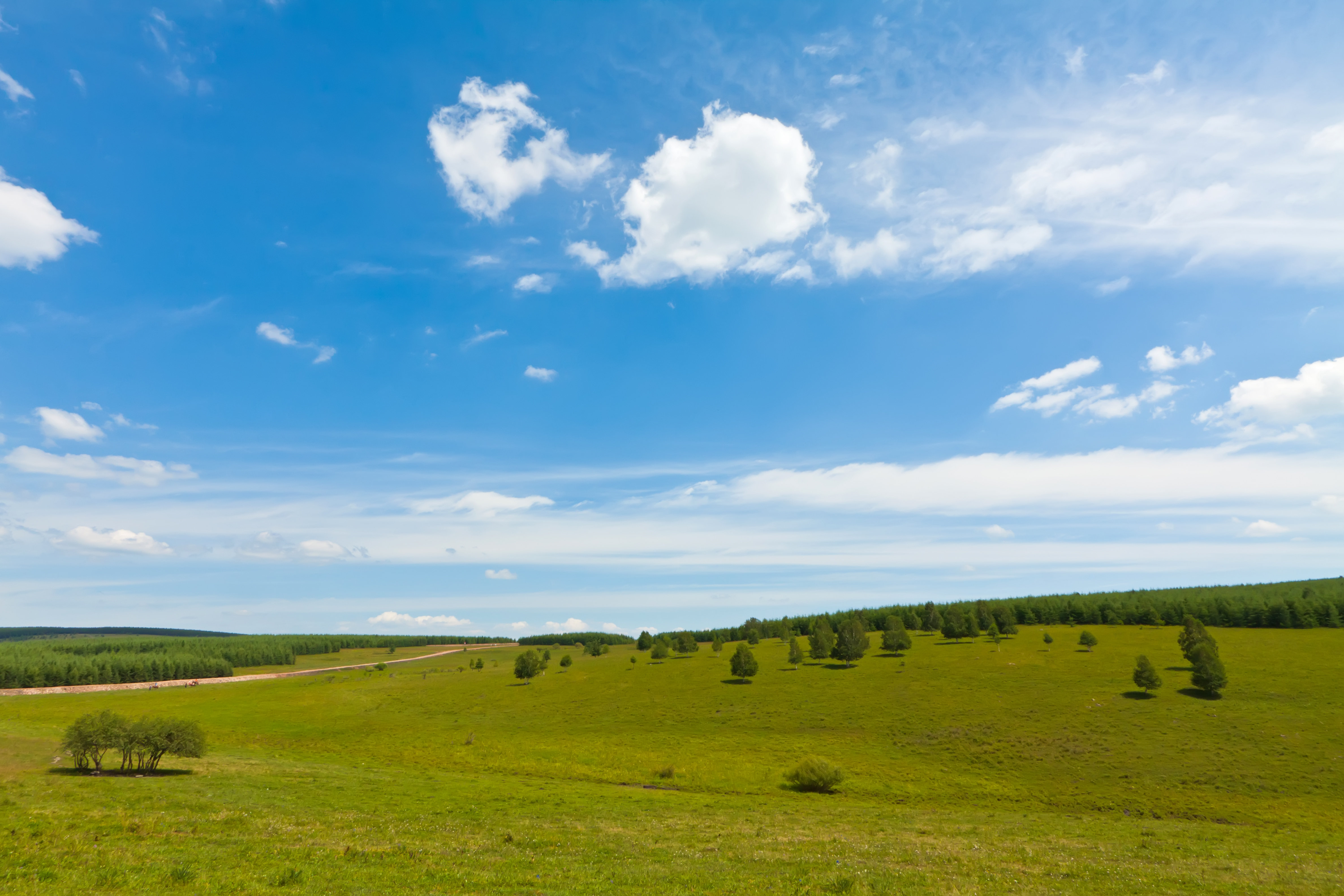 Ebern Designs Grassland Landscape - Wrapped Canvas Photograph | Wayfair