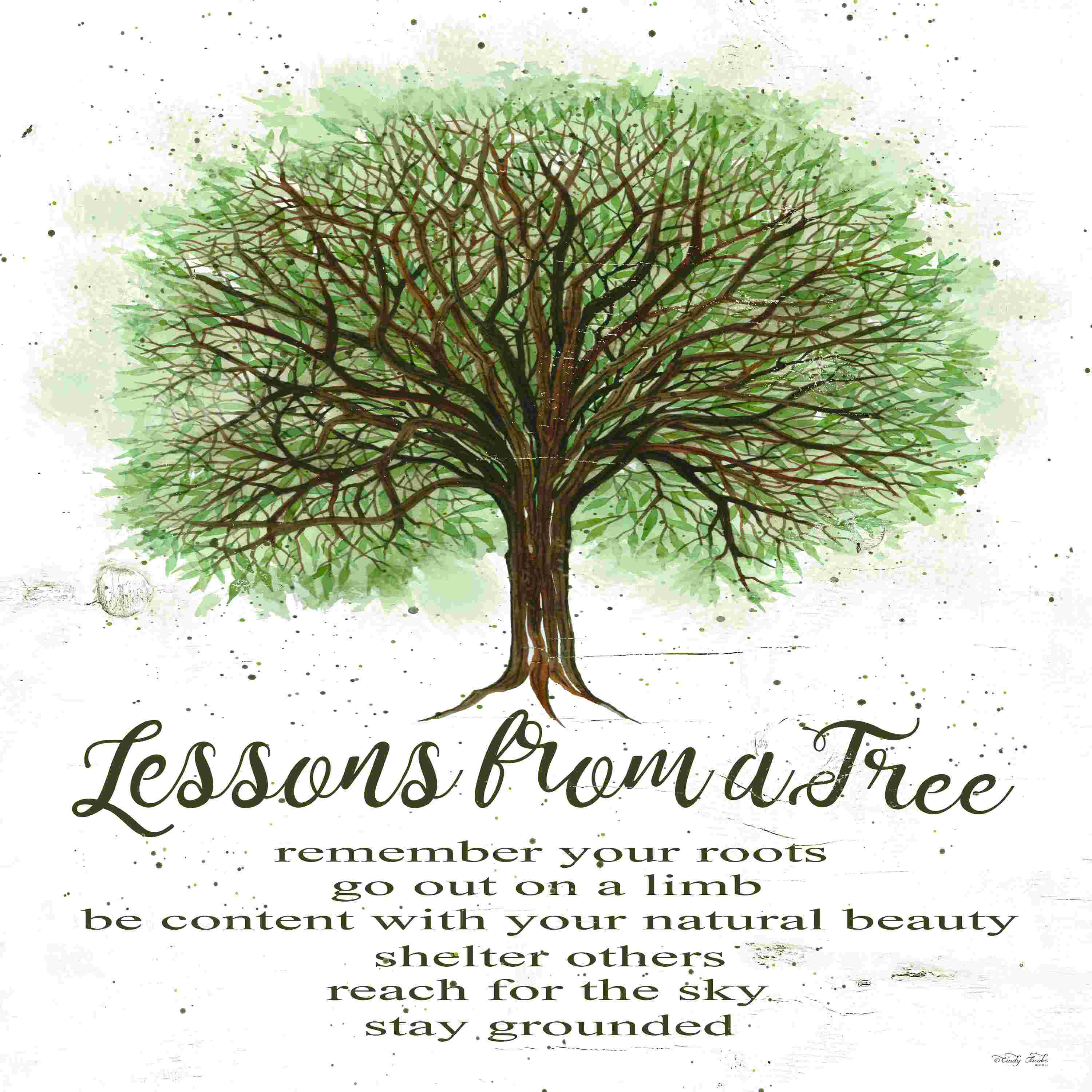 Trinx Lessons From A Tree by Cindy Jacobs - Wrapped Canvas Textual Art ...