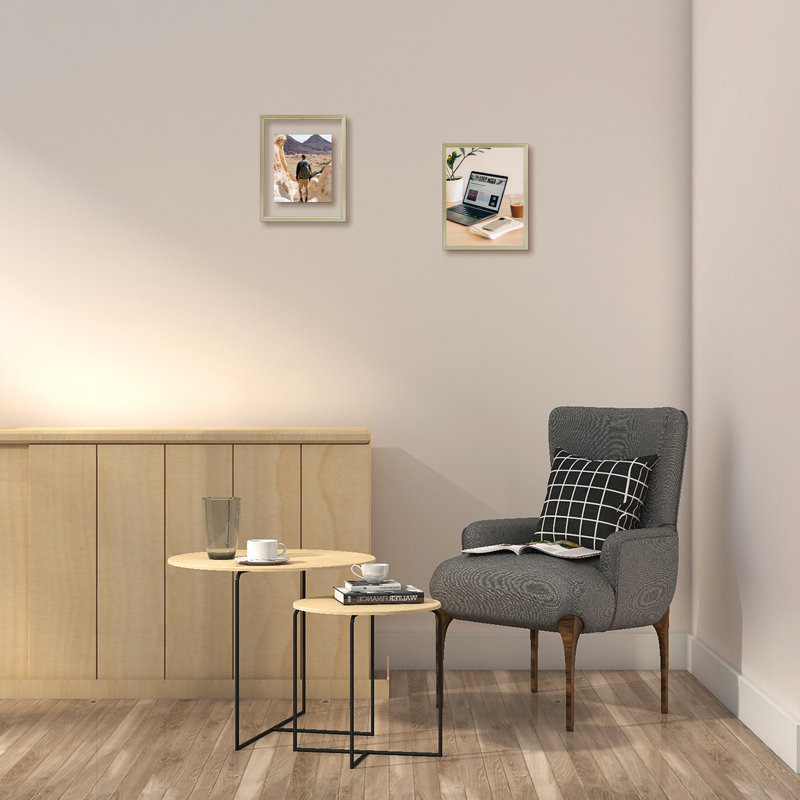 Ebern Designs Donham Metal Picture Float Frame without Mat Wall Hanging ...