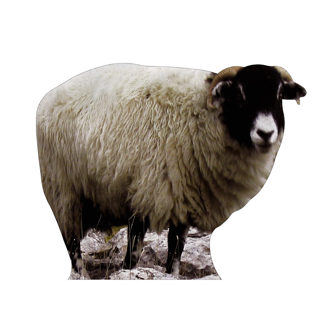 Star Cutouts Sheep Cardboard Standup | Wayfair