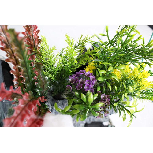 Penn Plax 1 Gallon AquaTerrium™ Aquarium Tank & Reviews | Wayfair