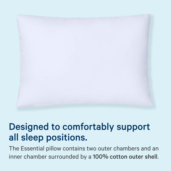 Casper Sleep Essential Pillow, Standard, Two Pack | Wayfair