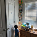 Dreambaby Toy Chain & Reviews | Wayfair