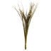 AllModern 28"-36" Splinter Grass Bundle, 22oz Dried & Reviews | Wayfair