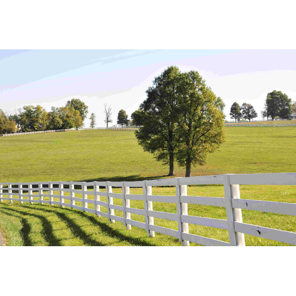 August Grove® White Fence And Green Field With Trees - Wrapped Canvas ...