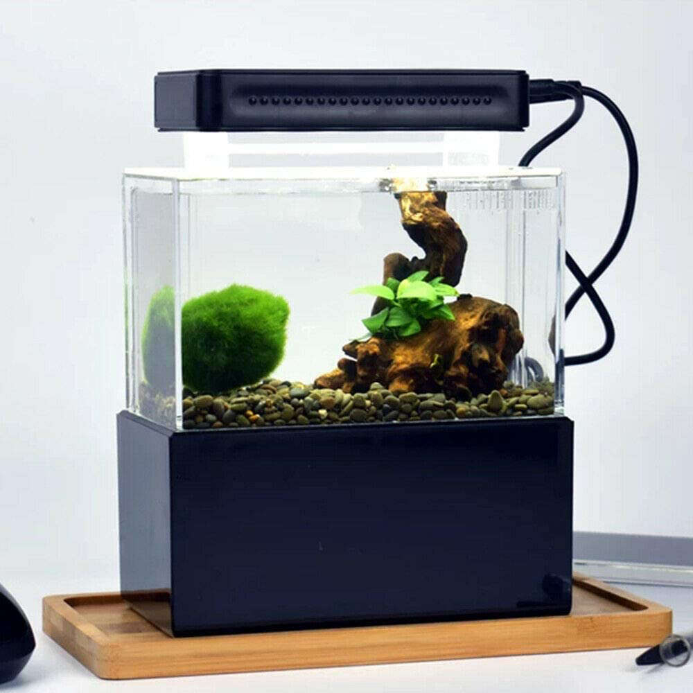 Fish Tank Sizes & Types: How to Choose the Right Aquarium | Wayfair