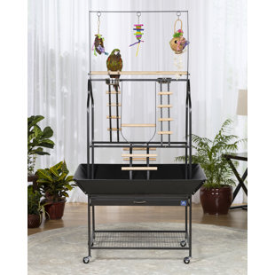 Wayfair | Bird Play Gyms