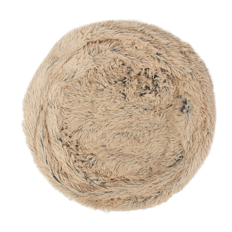 Best Friends By Sheri Shell Cover Bed Shag - Wayfair Canada