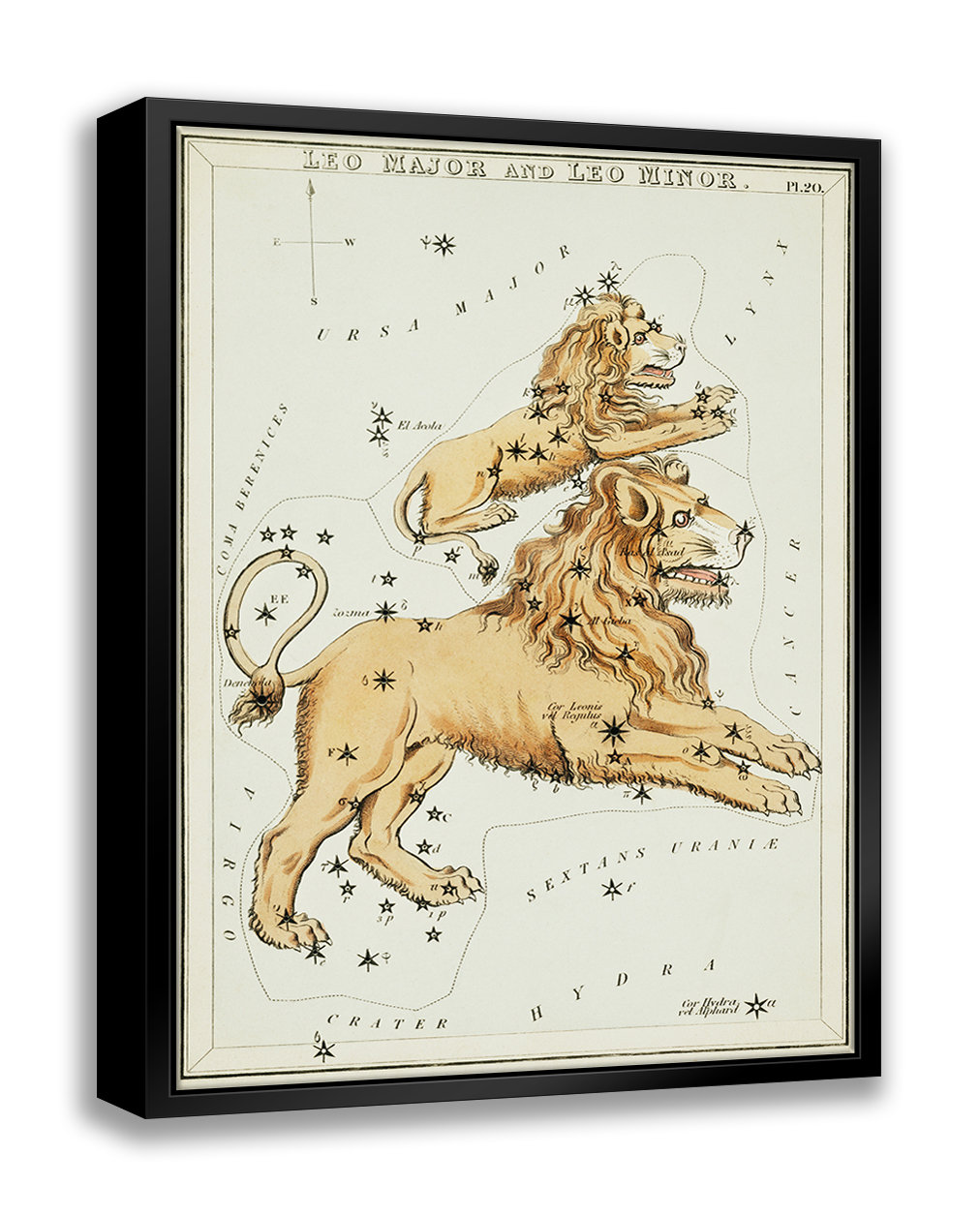 ATX Art Group LLC Astronomical Chart Illustration Of The Leo Major And ...