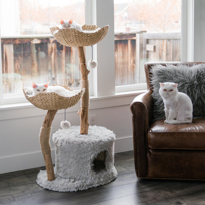 Tucker Murphy Pet™ 46" Seeman Double Branch Cento Cat Tree & Reviews ...