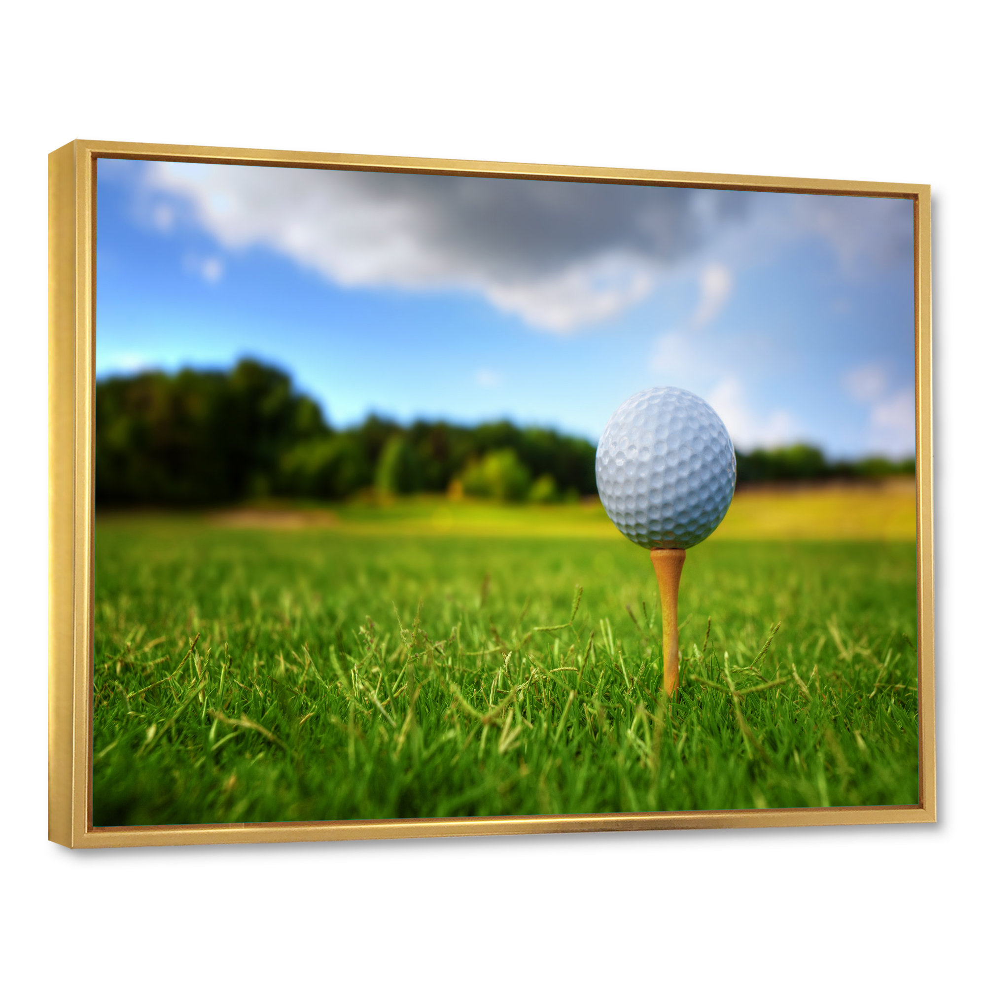 Ebern Designs Sunset Golf Ball Sunset Golf Ball - Floater Frame Print ...