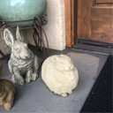 Campania International, Inc Fat Rabbit Statue & Reviews | Wayfair