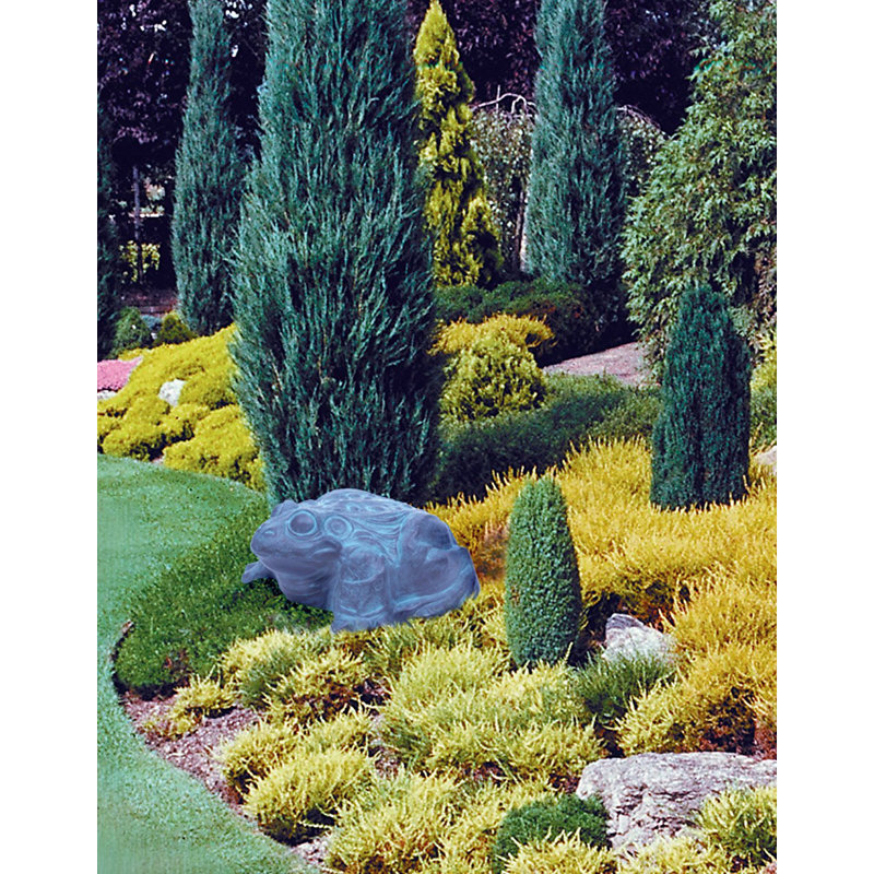 EMSCO Group Darwood The Galapagos Frog Plastic Wal Mounted Hose Reel ...