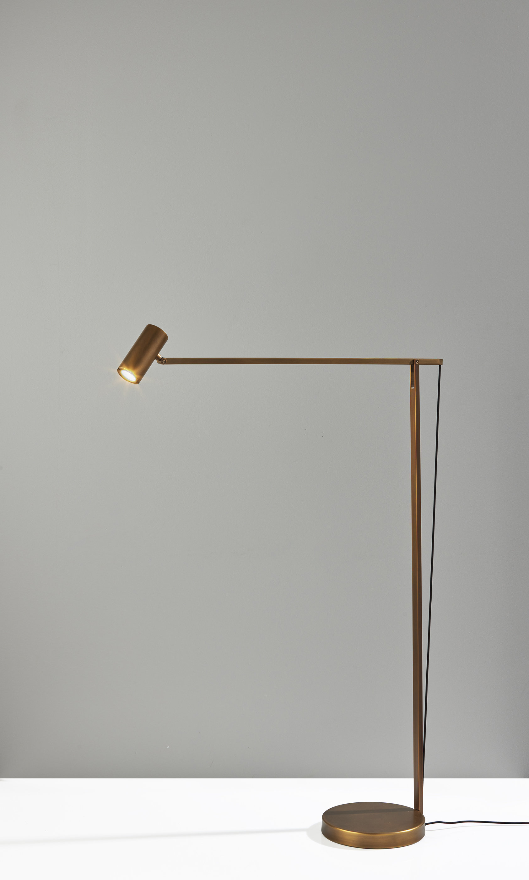 ADS360 Newman 58" LED Task Floor Lamp | Wayfair