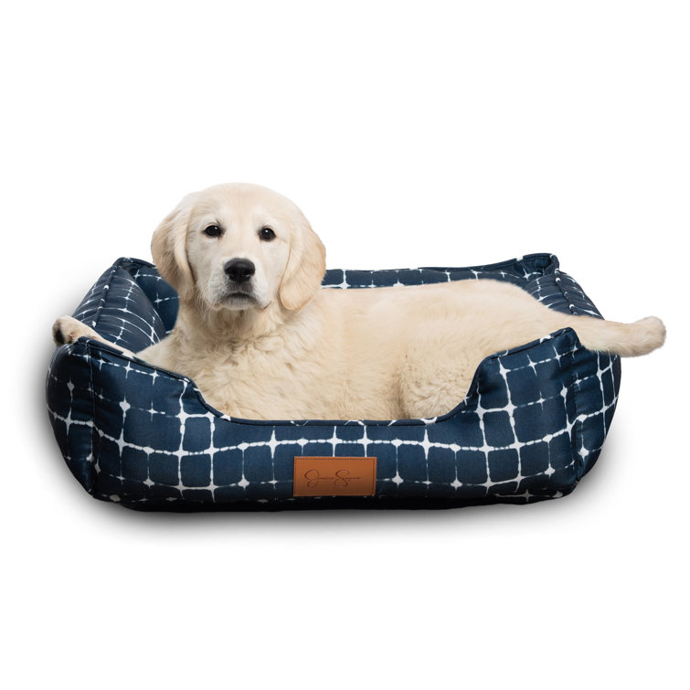 Jessica Simpson Bolster | Wayfair