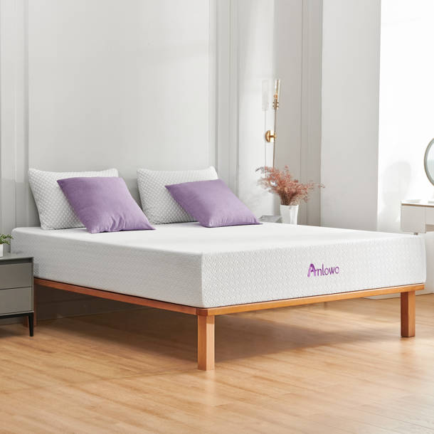 Delta Children Arch Storage Trundle & Reviews | Wayfair