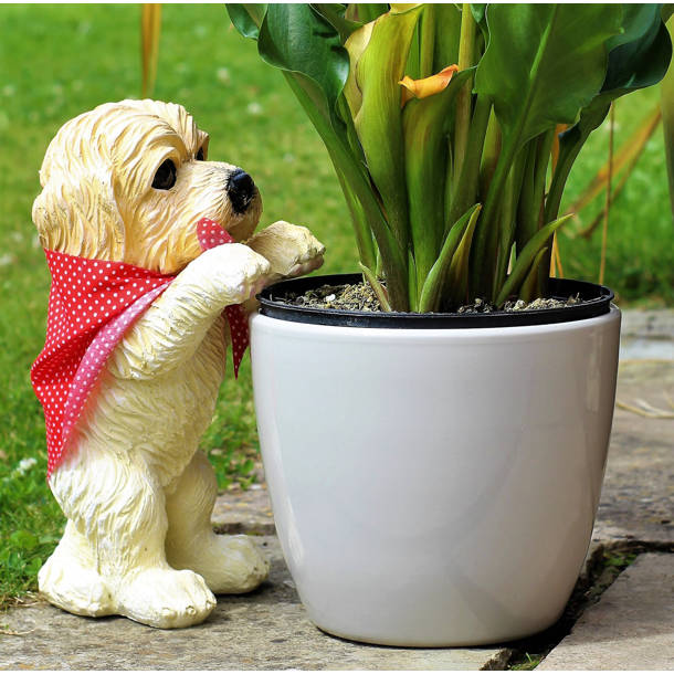 Frith Sculpture Bella Cockapoo Begging | Wayfair.co.uk