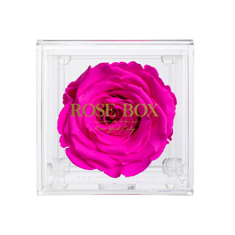 Rose Box NYC Single Rose Floral Arrangement in Jewelry Box | Wayfair