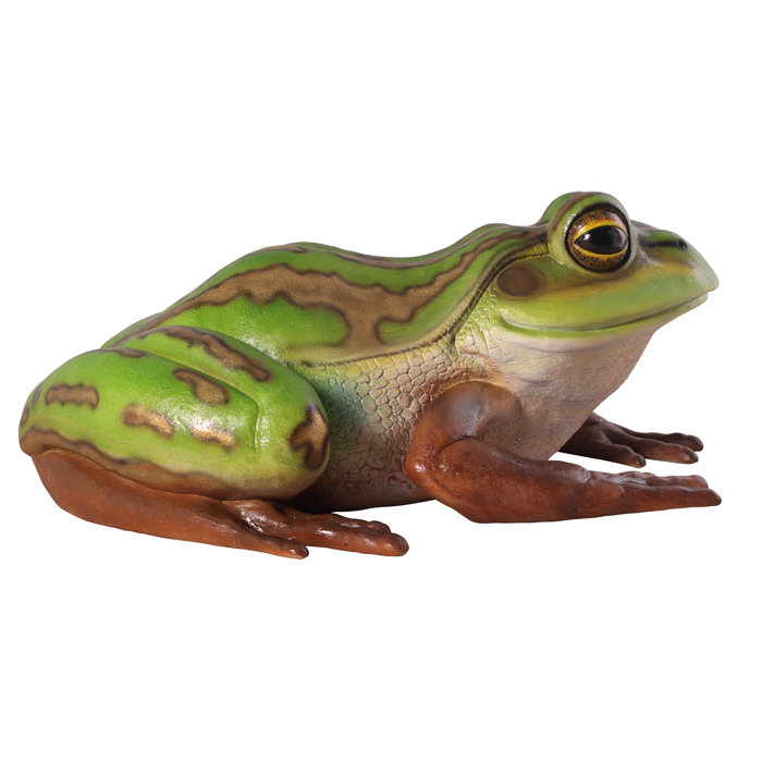 Design Toscano The Pine Barrens Giant Garden Tree Frog Statue & Reviews ...