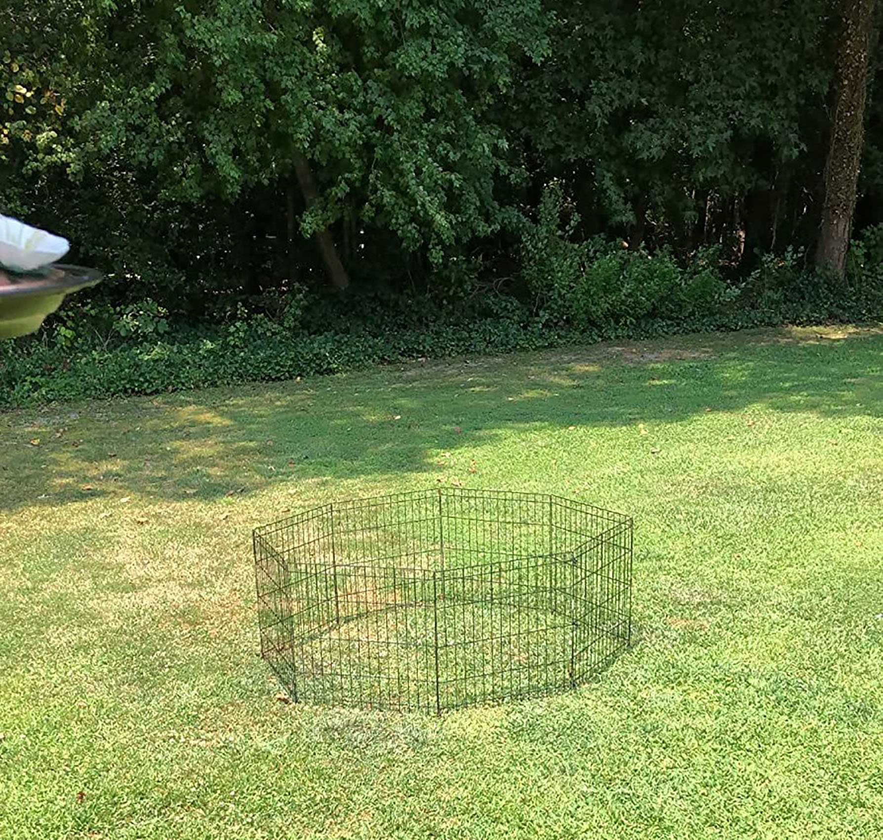 Aaronam Foldable Exercise Pen & Reviews | Wayfair