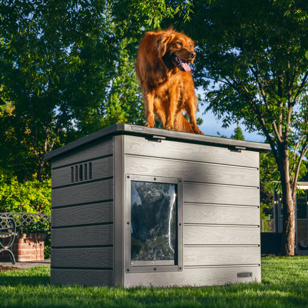 Lifetime Deluxe Dog House & Reviews | Wayfair