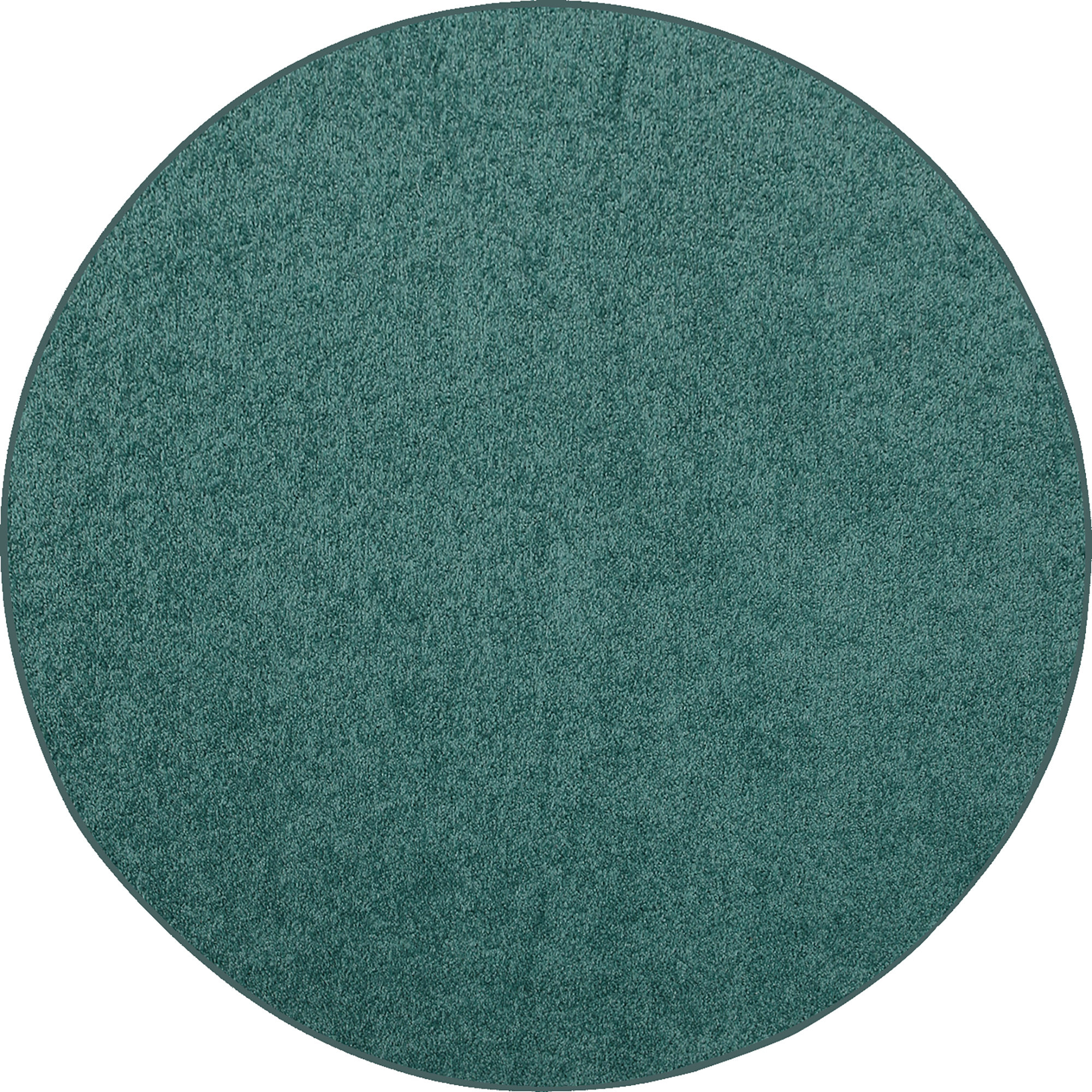 Latitude Run® Performance Teal Rug | Wayfair