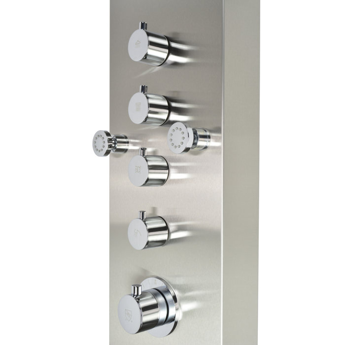 Blue Ocean 64.5” Stainless Steel Shower Panel (SPS8879) | Wayfair