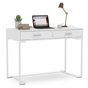 Mercer41 Caylon Desk & Reviews | Wayfair