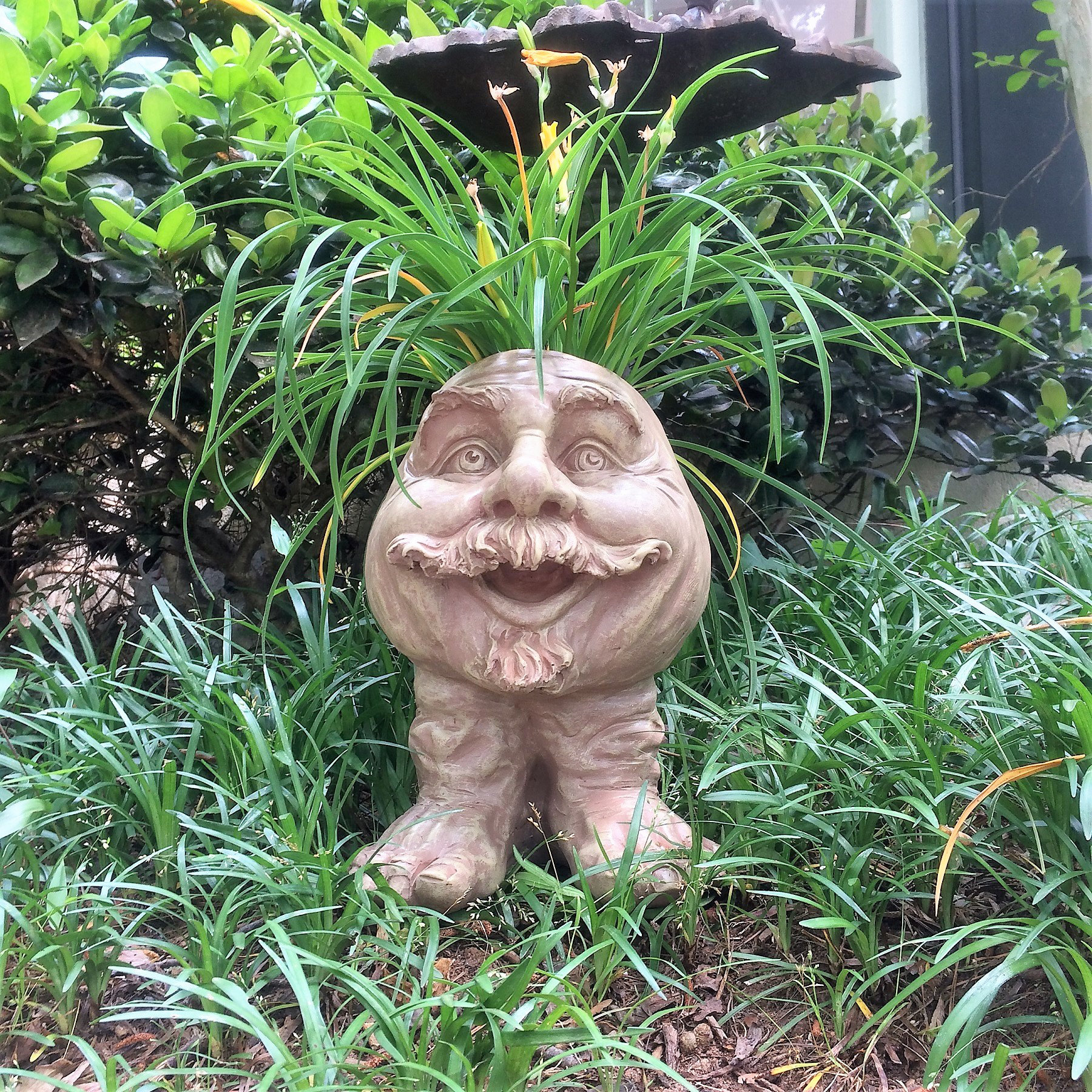 HomeStyles Muggly's Uncle Nate Face Statue & Reviews | Wayfair