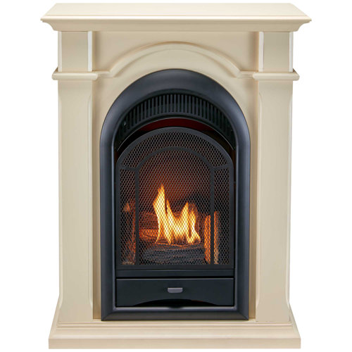 ProCom Dual System Vent-Free Natural Gas/Propane Fireplace | Wayfair