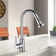Red Cloud Pull Out Kitchen Faucet | Wayfair