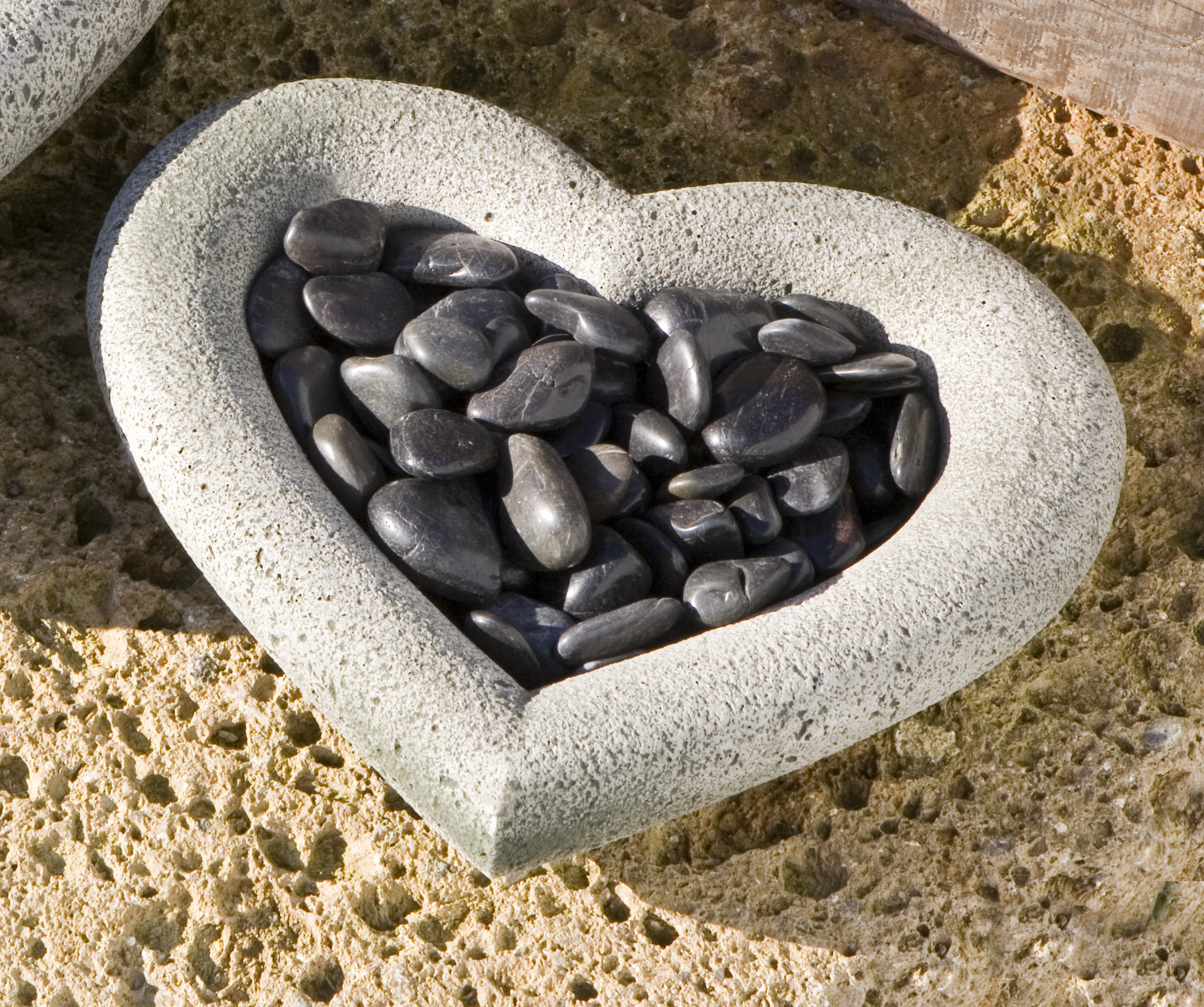 Campania International, Inc Heart Shell Statue & Reviews | Wayfair