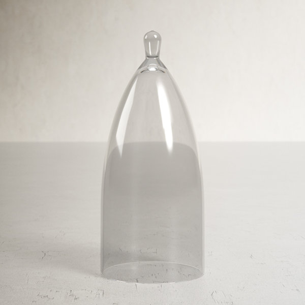 Birch Lane™ Adwin Cloche & Reviews | Wayfair