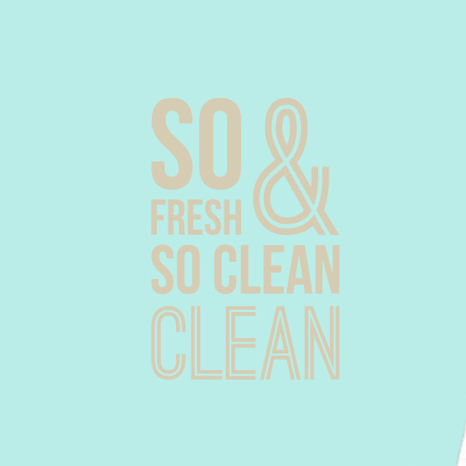 SweetumsWallDecals So Fresh and So Clean Bathroom Wall Decal & Reviews ...