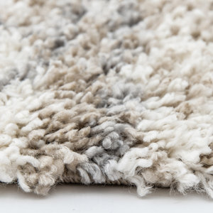 Union Rustic Roush Performance Beige Rug & Reviews | Wayfair