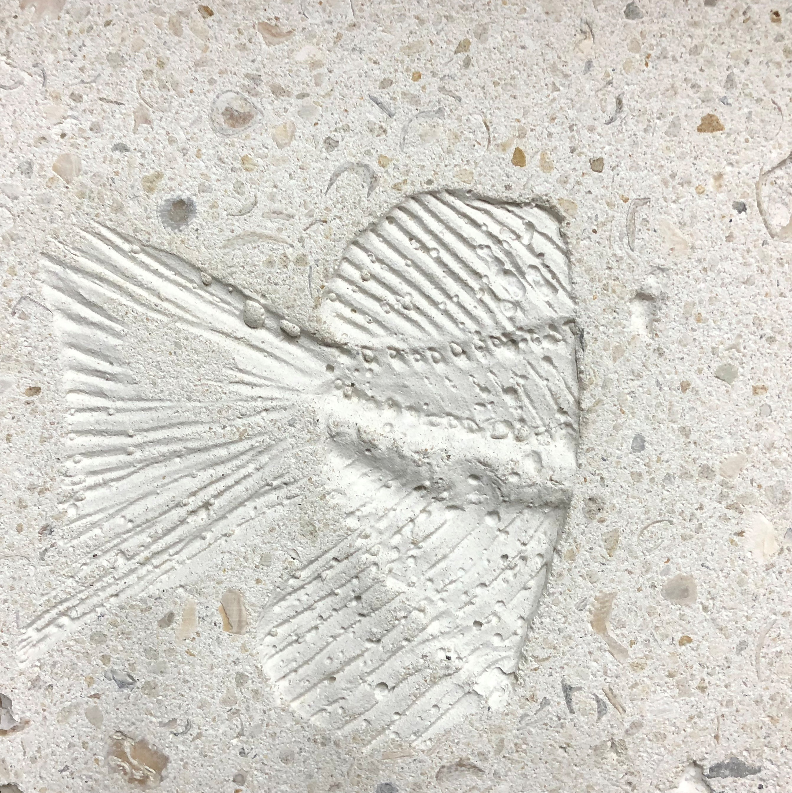 Matrix-Z 6" x 6" Compressed Stone / Cement Medallion Tile in Beige ...