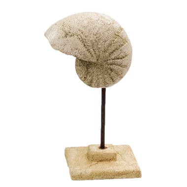 Rosecliff Heights Ciccone Giant Stone Cast Conch Shell Sculpture | Wayfair