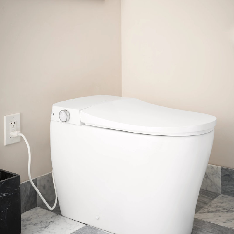 Moen 2-Series Electronic Toilet with Auto Flush and Remote & Reviews ...